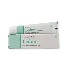 Lord's Ledum Ointment 25 gm - Multimedicos